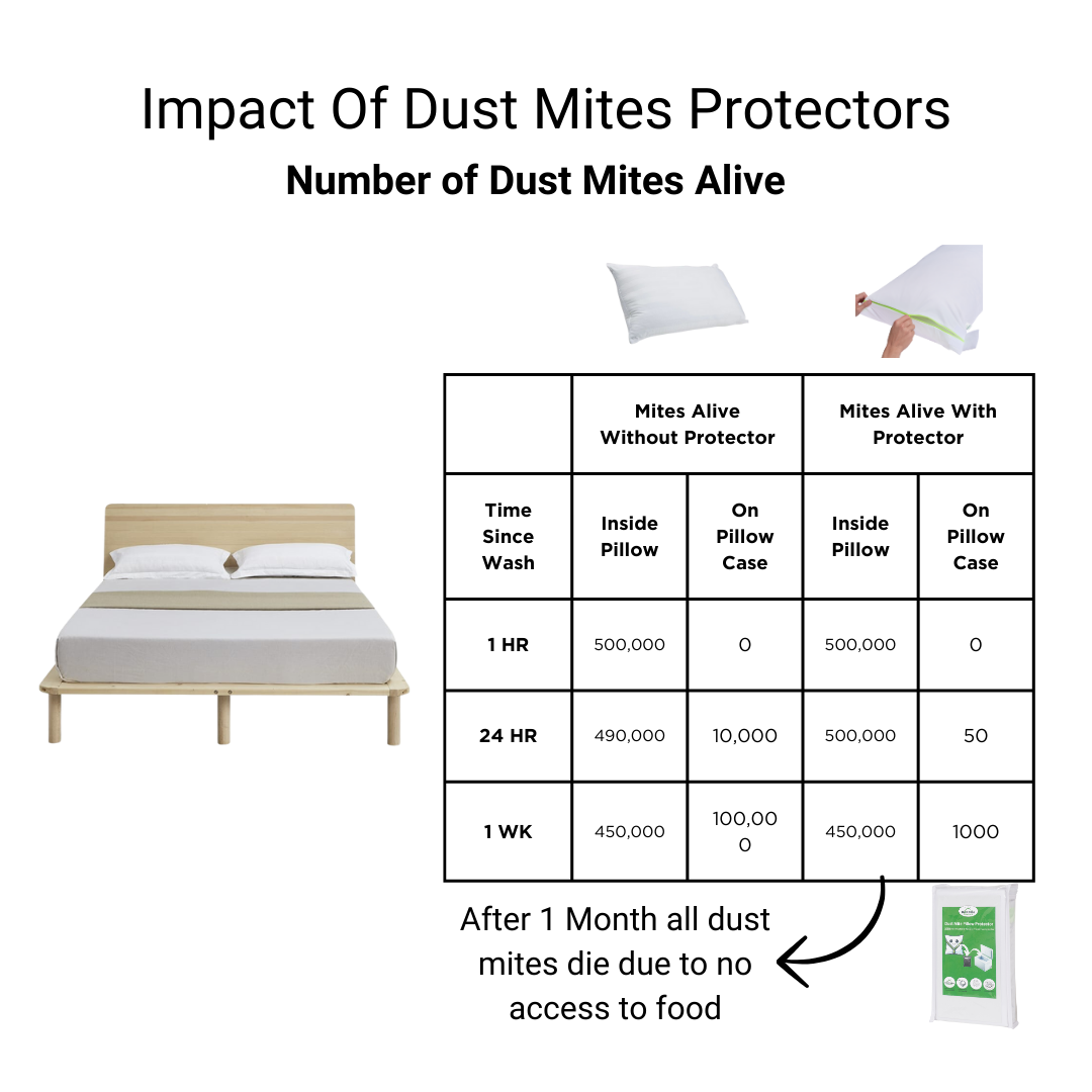 Dust Mites On Skin and How To Get Rid Of Them – iDustMite