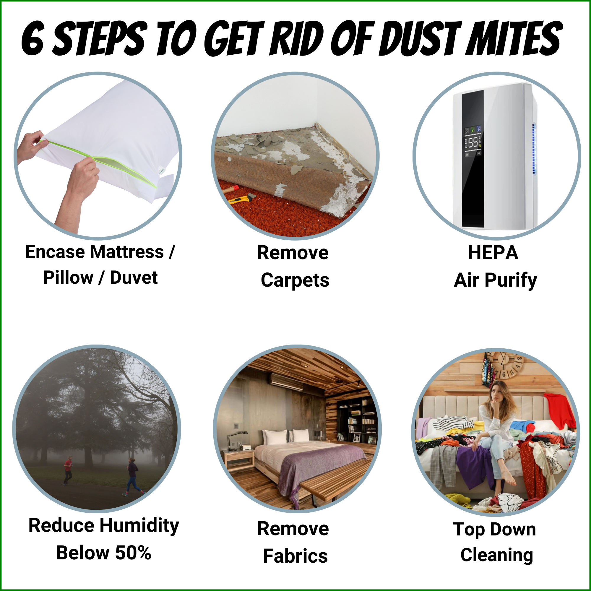 Learn About Dust Mite Allergy – iDustMite