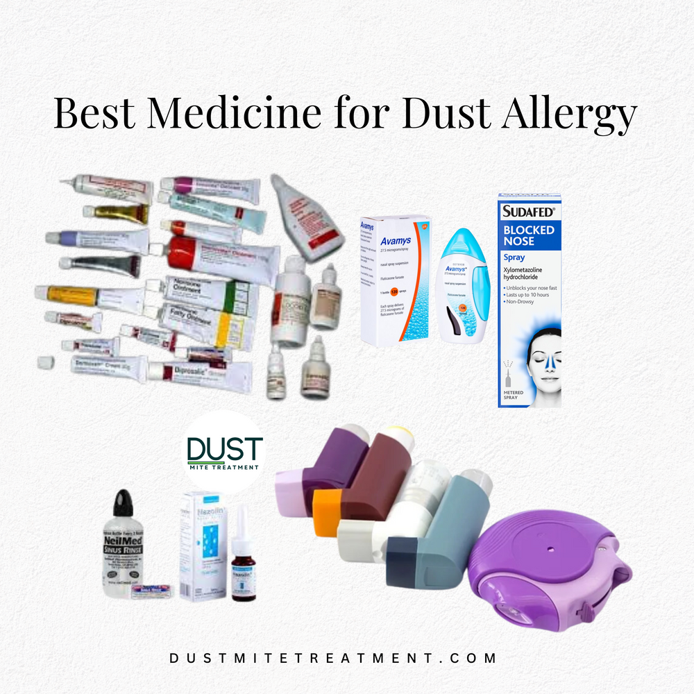 Do You Have a Dust Mite Allergy? Signs, Symptoms & Diagnosis – iDustMite