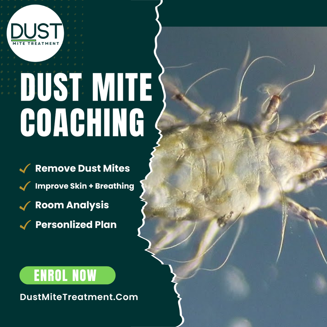 Dust Mites On Skin and How To Get Rid Of Them – iDustMite